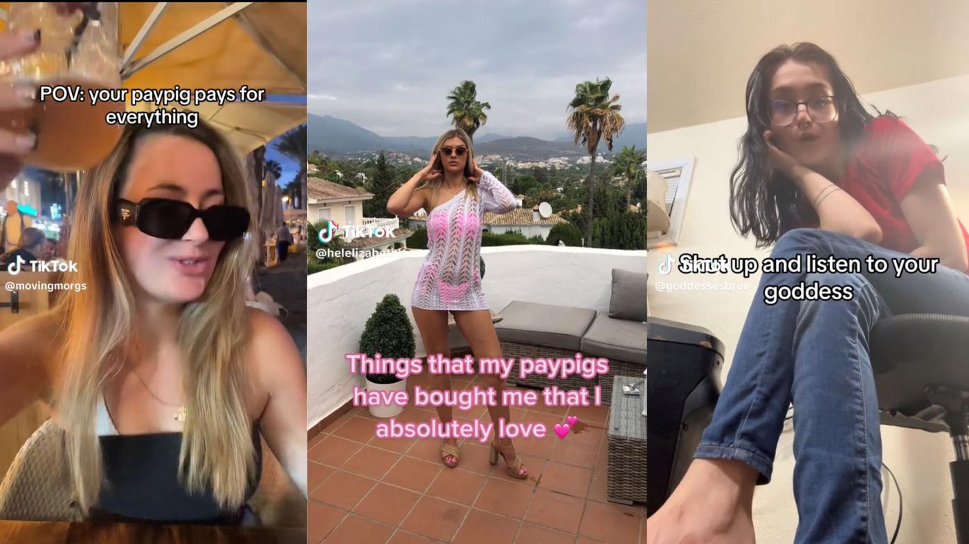 The World Of Paypigs And Findom - The Hook Up (podcast) | Listen Notes