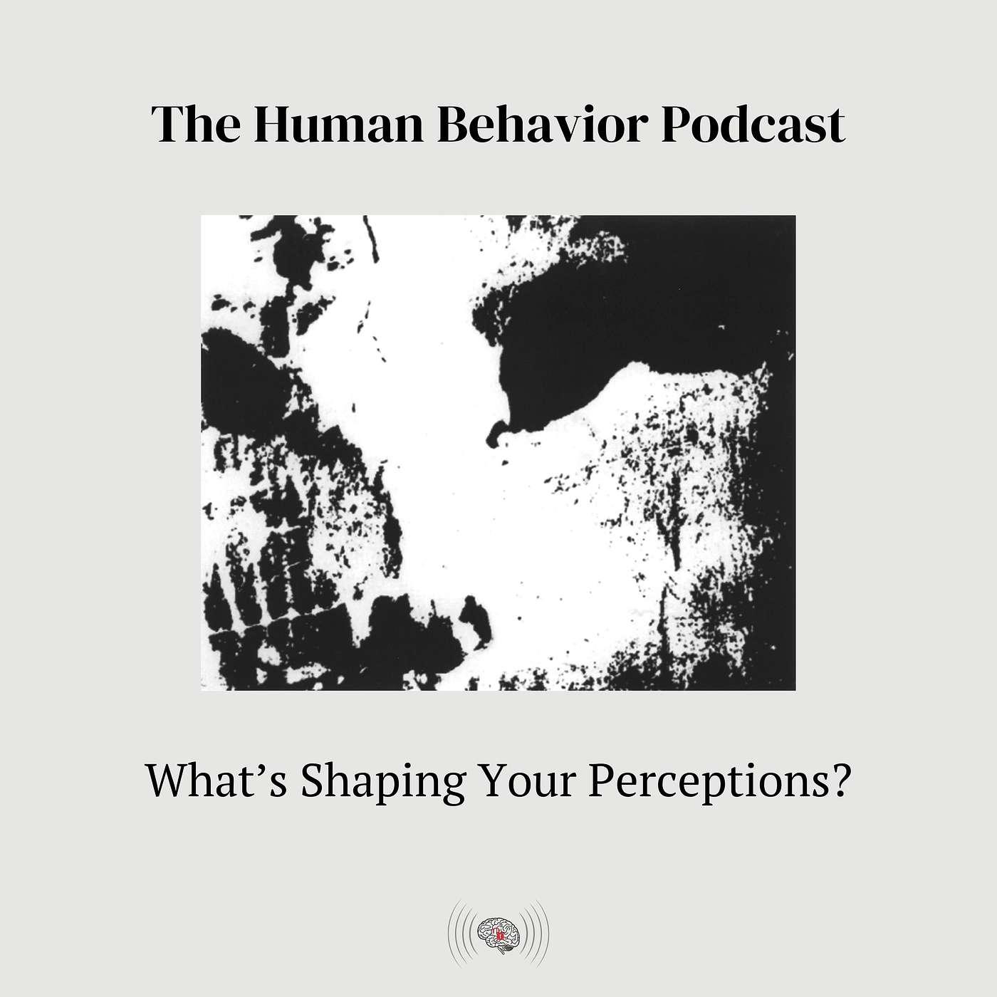 What's Shaping Your Perceptions? - The Human Behavior Podcast | Listen ...