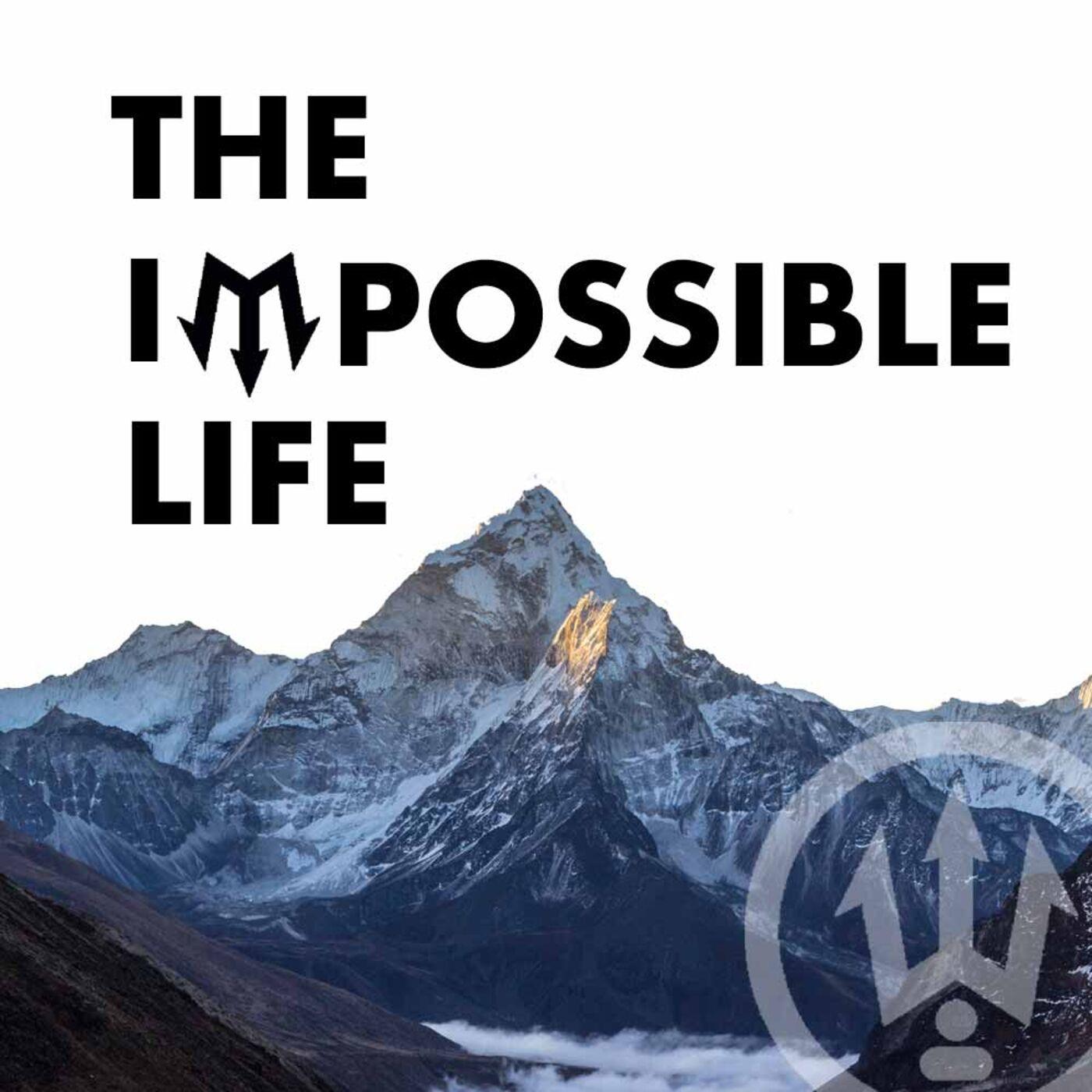 Beyond Knowledge: The Art of Training - The Impossible Life (podcast ...