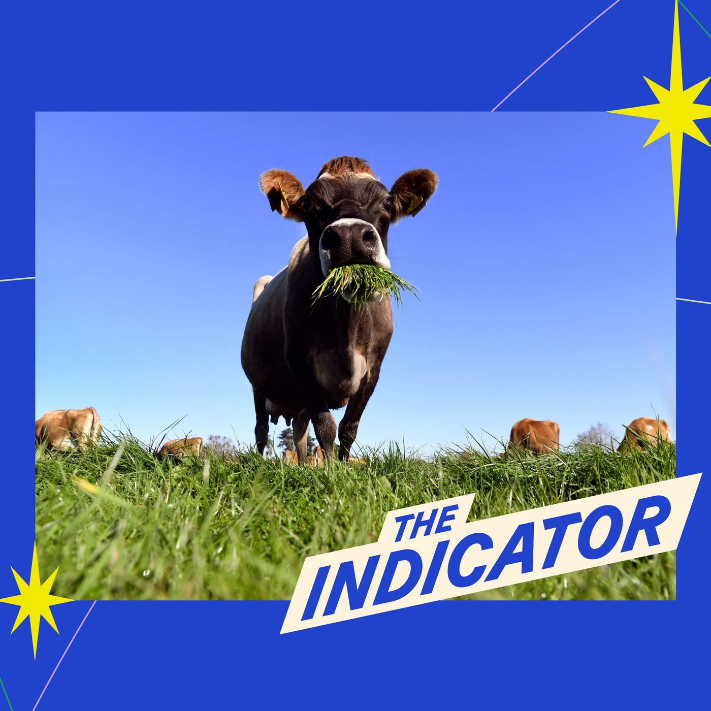 The Indicator from Planet Money (podcast) - NPR | Listen Notes