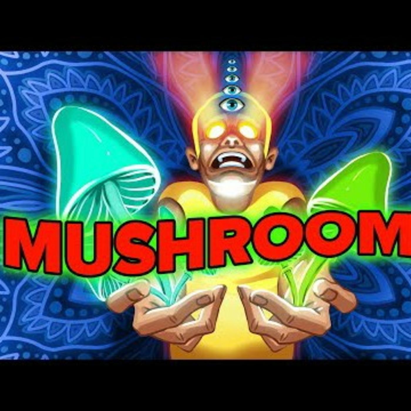 What Happens To Your Body When You Take Mushrooms Confession Love