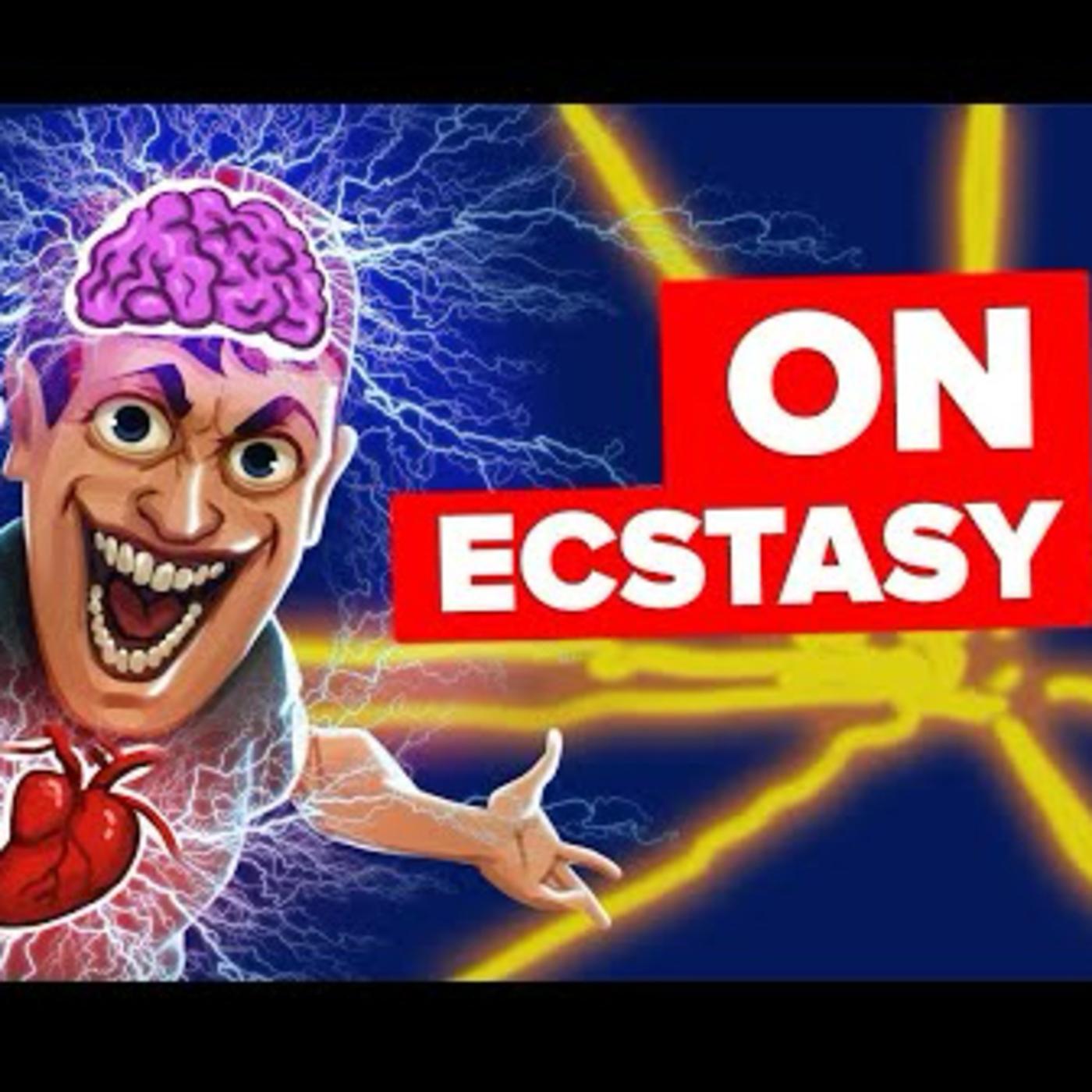 What Happens to Your Body When You Take Mushrooms - The Infographics ...