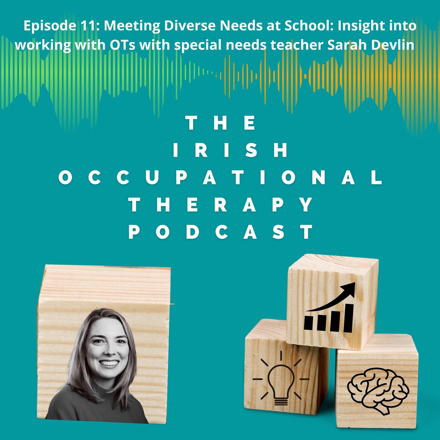 Meeting Diverse Needs at School: Insight into working with OTs with ...
