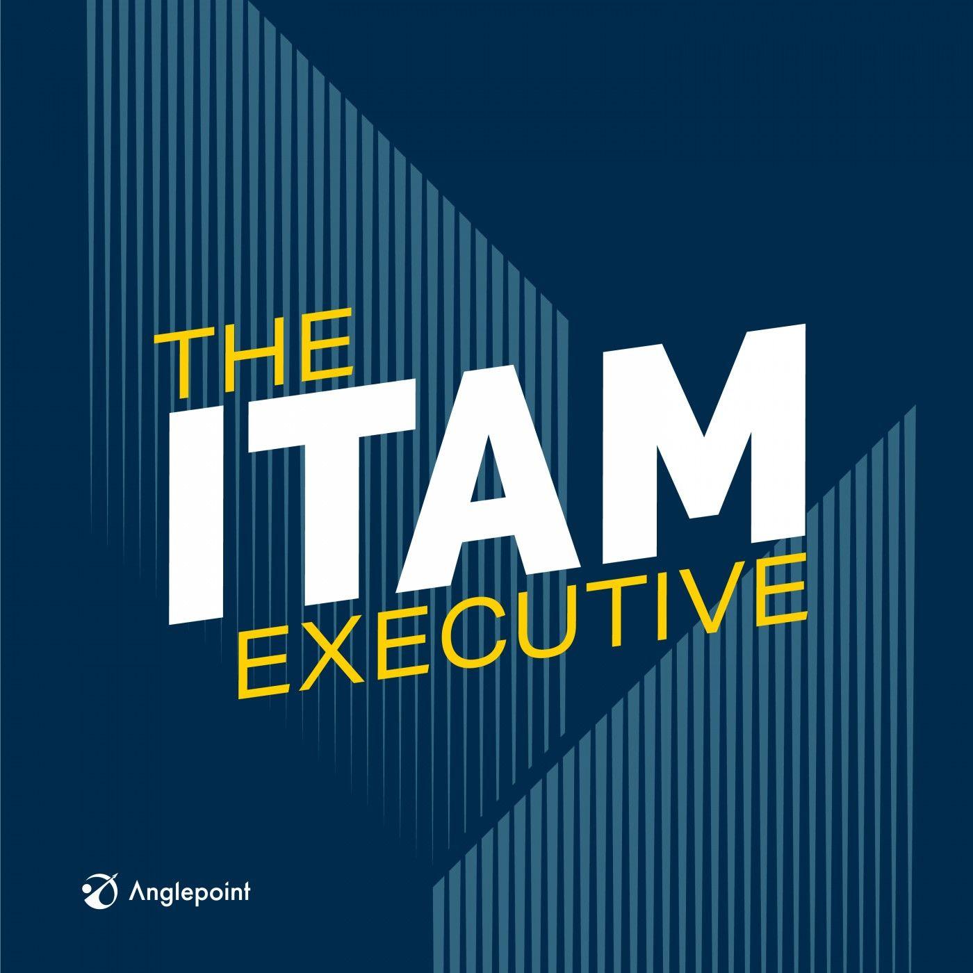 Inside the 2024 Update to ISO/IEC 19770-1 - The ITAM Executive: A ...