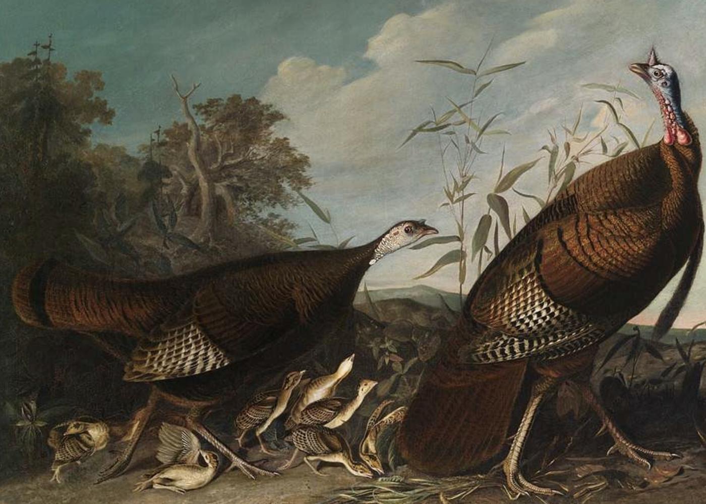 LAST TEN THOUSAND YEARS OF AN EXOPLANET NAMED EARTH: : 8/8: Wild New ...