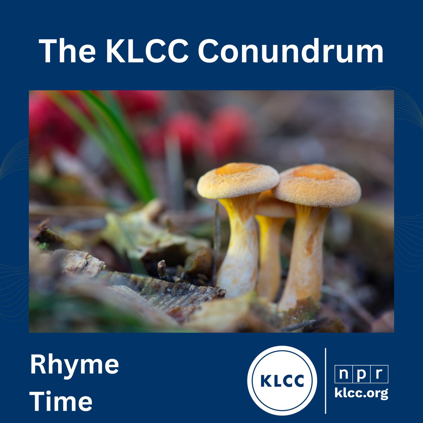 The KLCC Conundrum - Rhyme Time - The KLCC Conundrum (podcast) | Listen ...