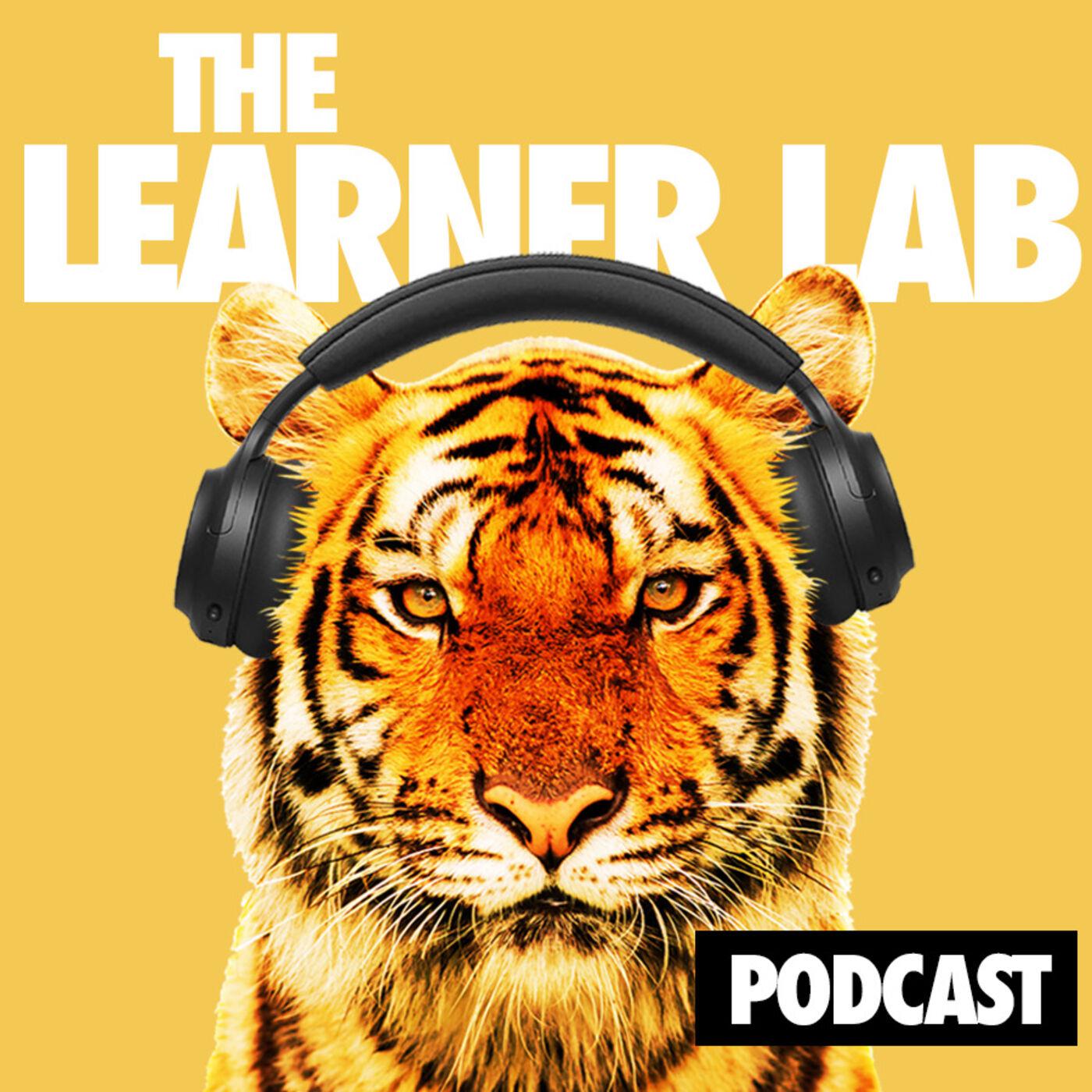 A Deep Dive into Hardiness with Paul Bartone - The Learner Lab (podcast ...