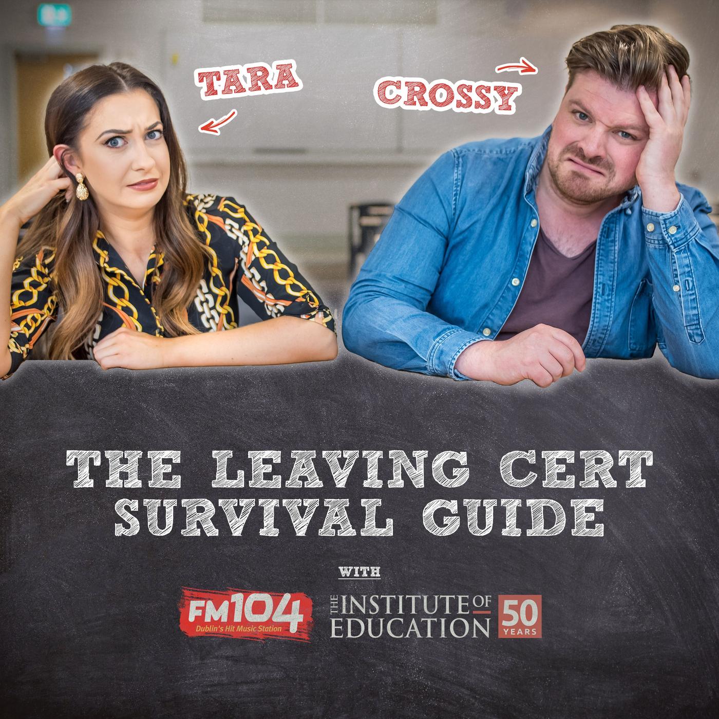 Irish Paper 1 & Breaking Down Brain Foods - The Leaving Cert Survival ...