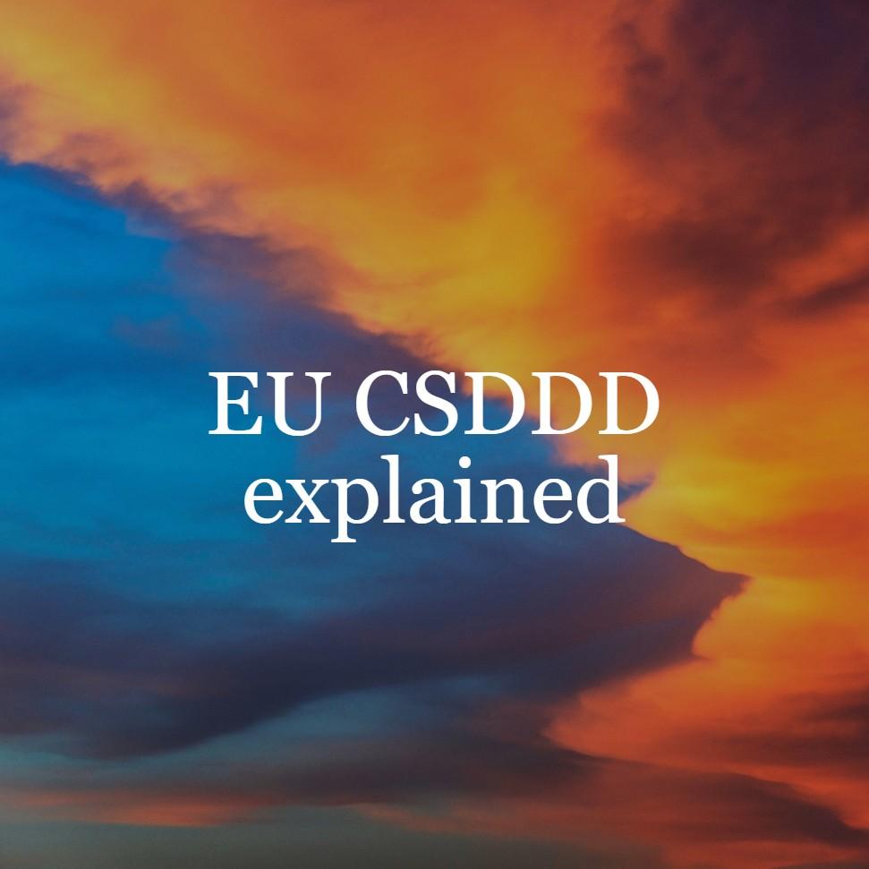 How the CSDDD compares with the CSRD // EU CSDDD explained | Listen Notes