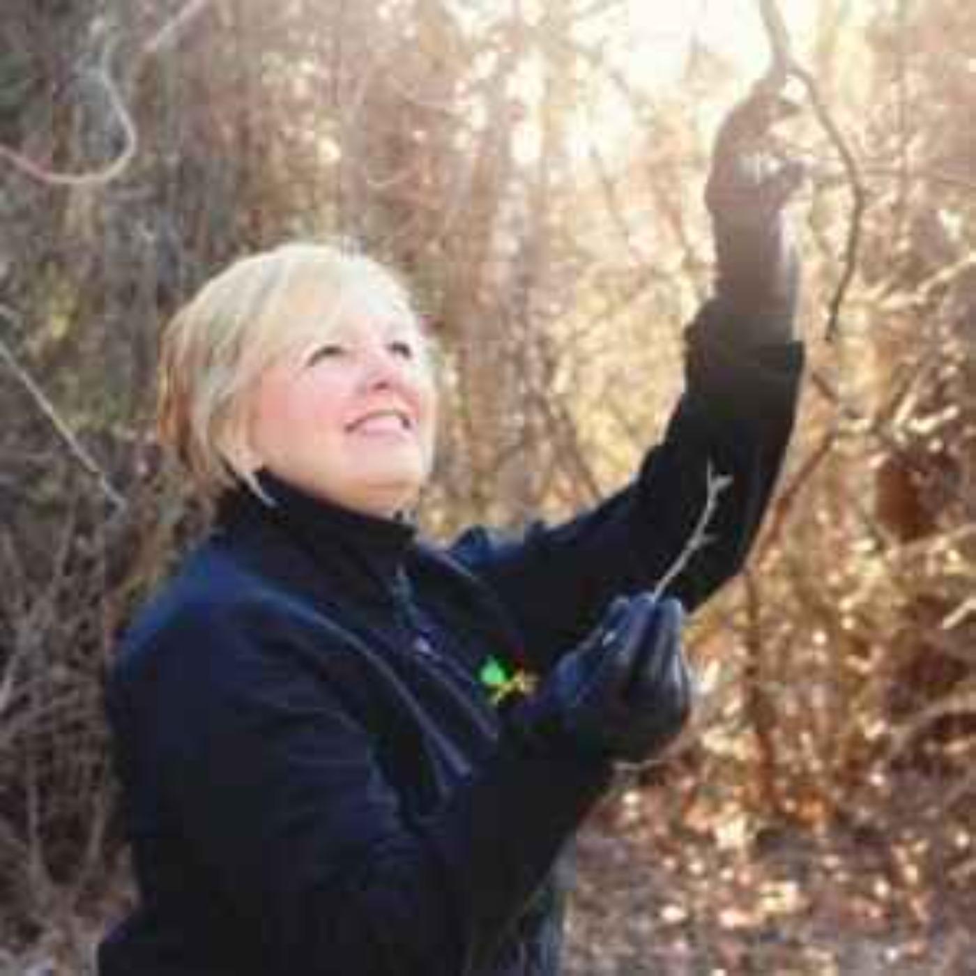 Save Our Trees with Vicky McCarthy - The Lisa Wexler Show (podcast ...