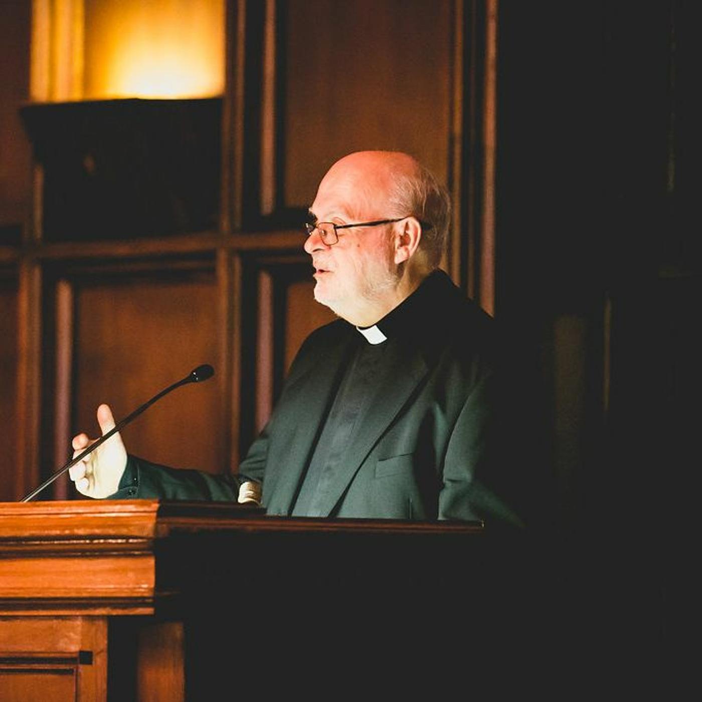 Anders Cardinal Arborelius - Interview - The Lumen Christi Institute ...