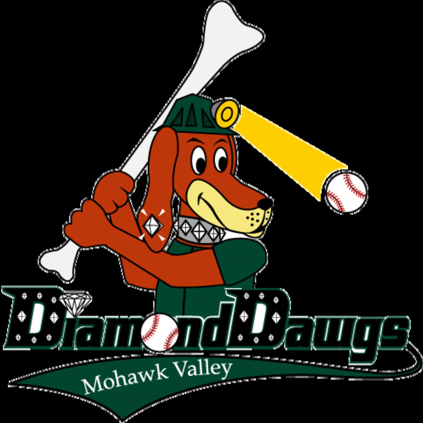 The End-of-Season Recap! - The Mohawk Valley Diamond Dawgs -- The 2020 ...