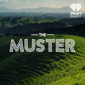 The Muster: Lorneville Stock Sale Report - The Muster on Hokonui ...