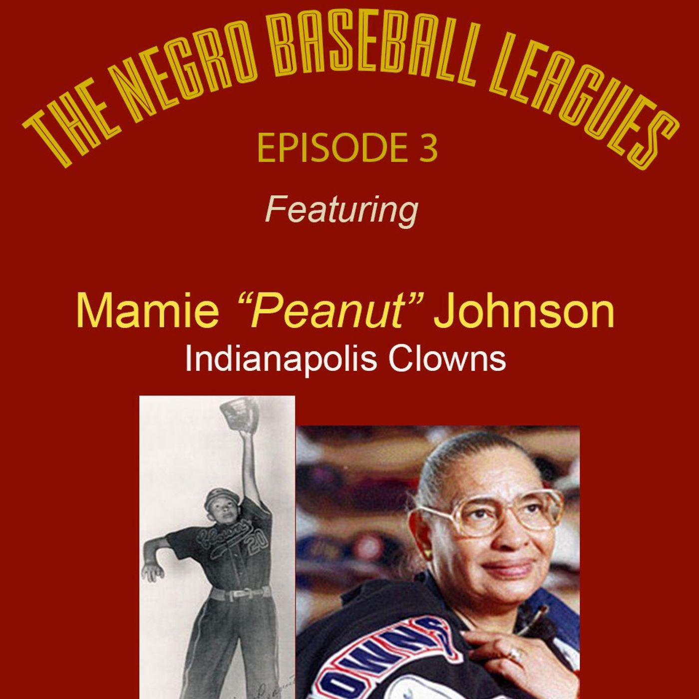 The Negro Baseball Leagues featuring Newark Eagles pitcher Max Manning ...