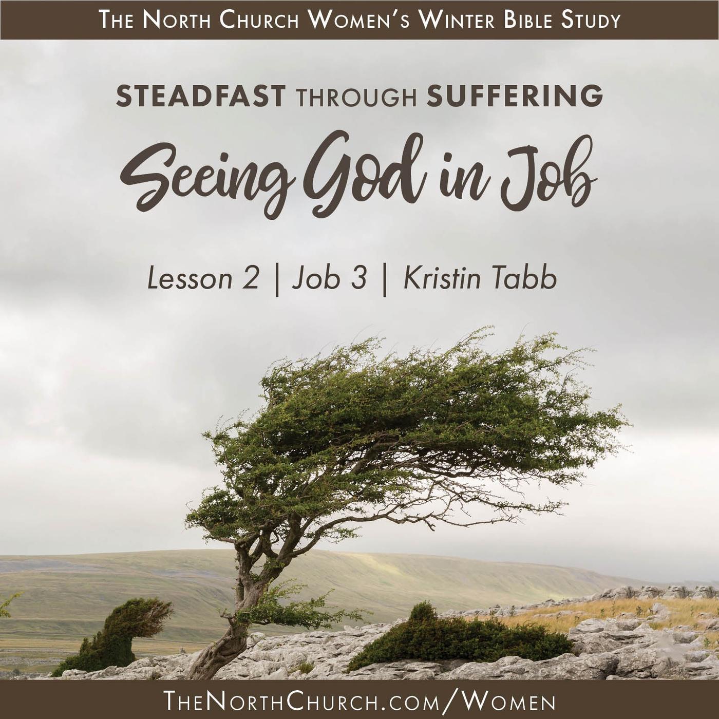 Job Lesson 2 | Job's Lament | Job 3 | Kristin Tabb 2.14.24 | Listen Notes