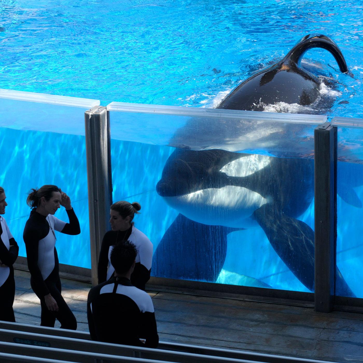 Cave Diving Gone WRONG - The Bushman's Hole Disaster (Dave Shaw ...