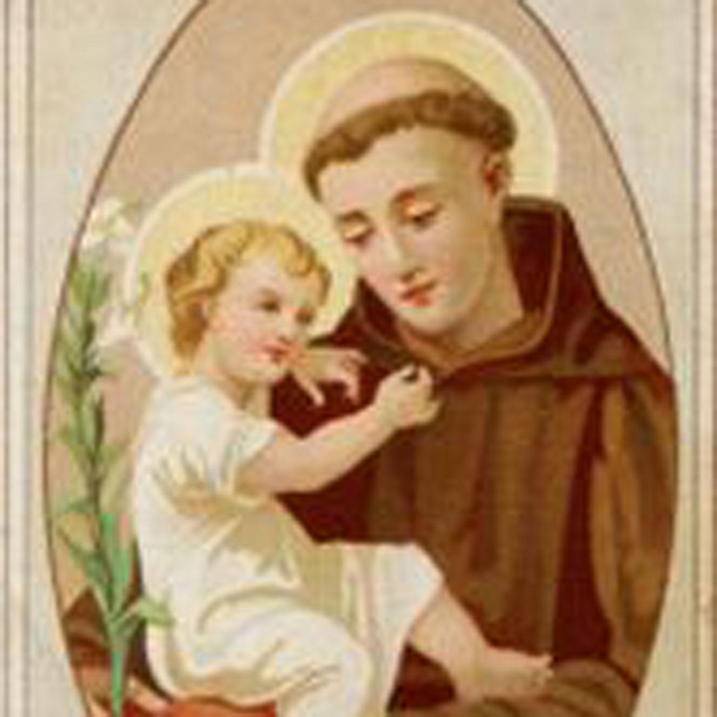 A Prayer Of A Lay Apostle: With Penitence And Hope For Tomorrow ...