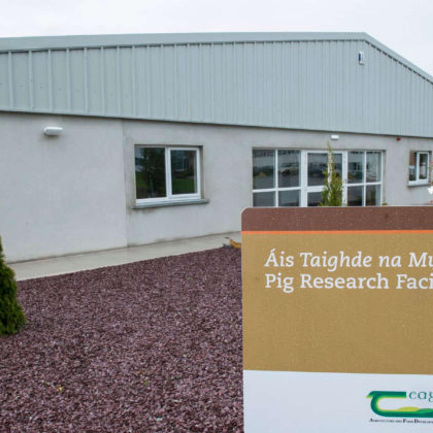 Insights from the Teagasc Pig Research Facility - The Pig Edge (podcast ...