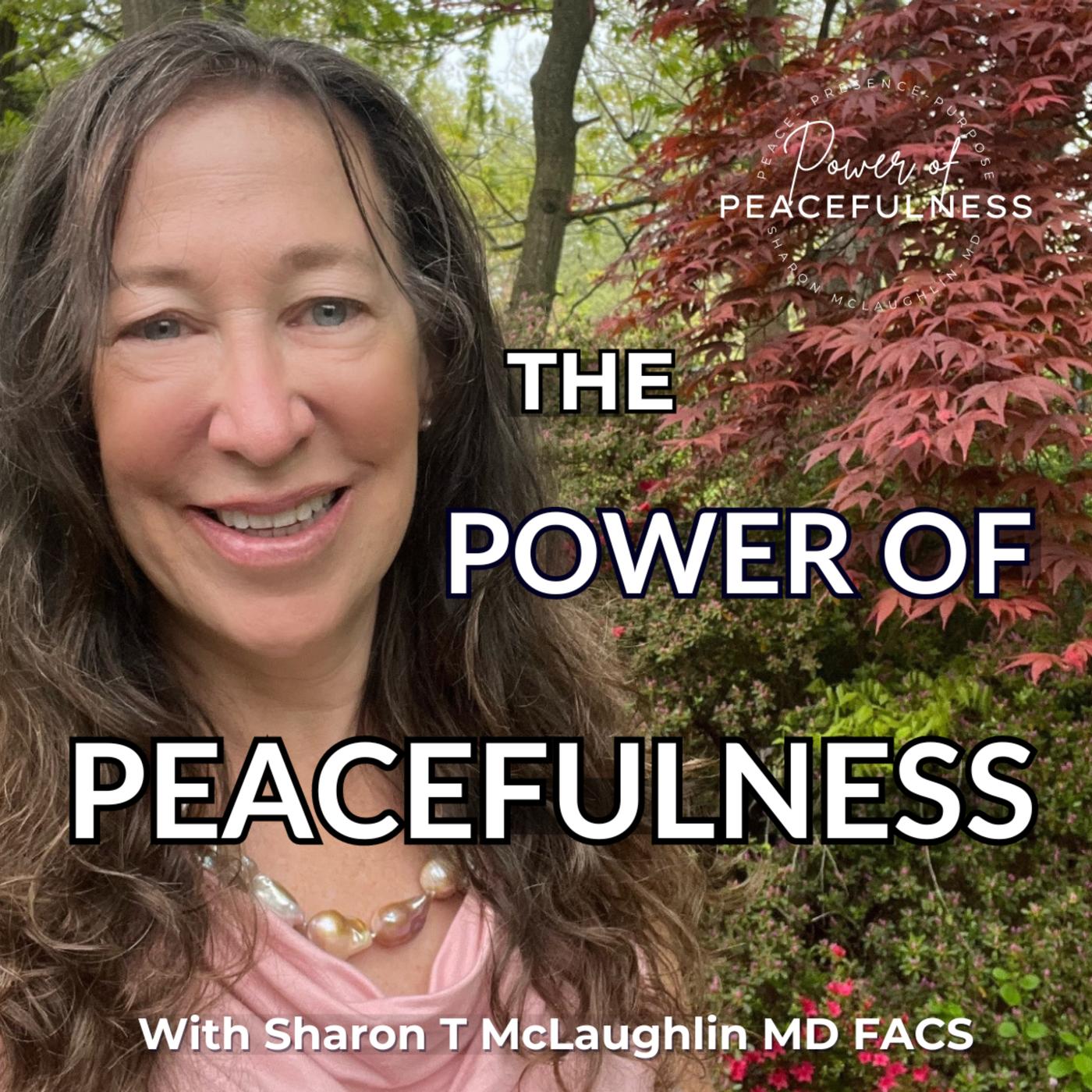 Life Design With Mel McSherry - The Power of Peacefulness and Stress ...