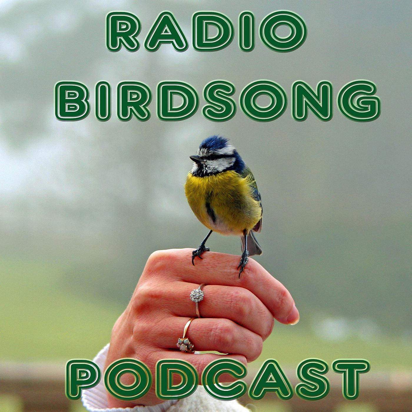 Quentin Howard's Original Radio Birdsong Podcast - The Radio Birdsong ...