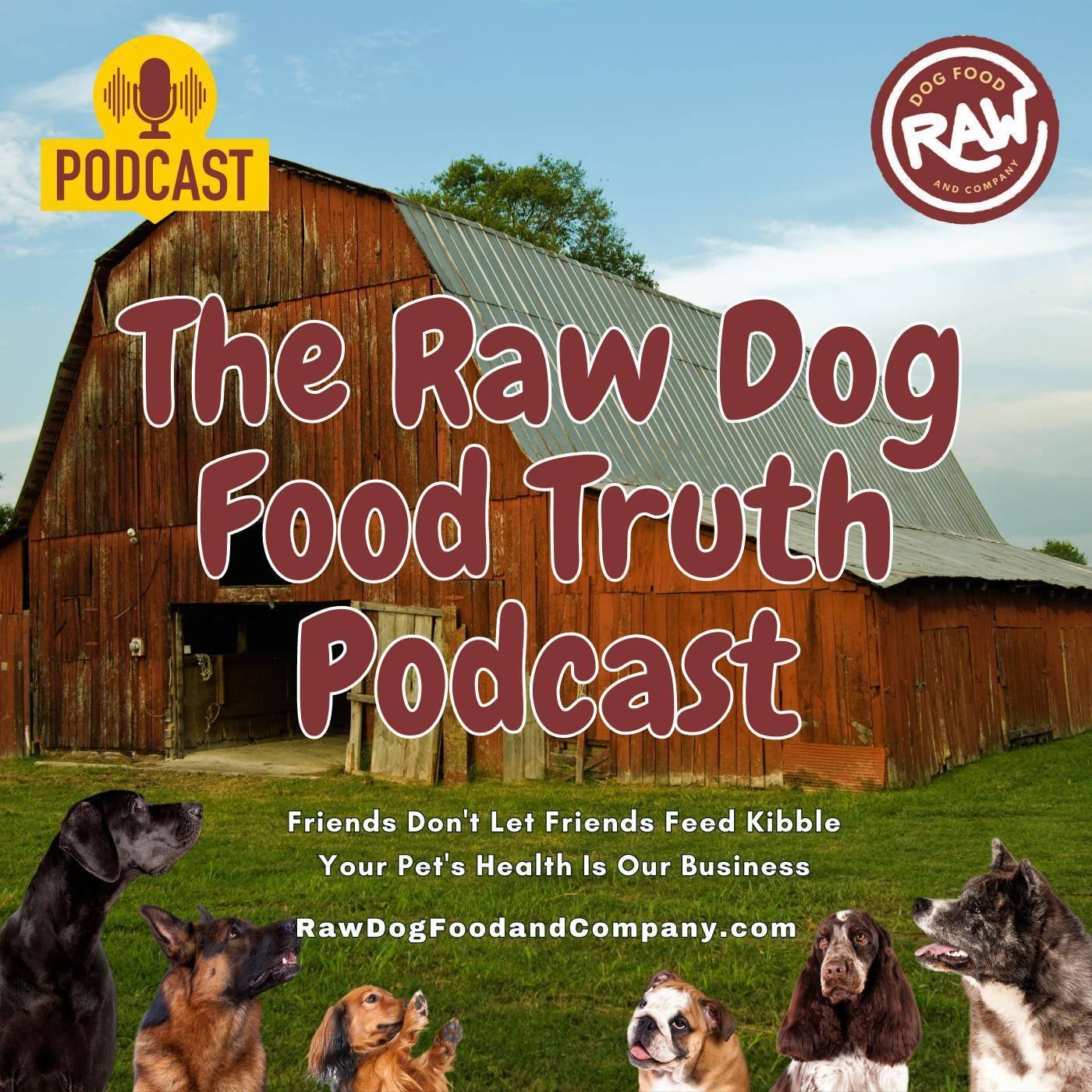What if What We Know About Pet Health is Just Wrong - Dr. Andi | Listen ...