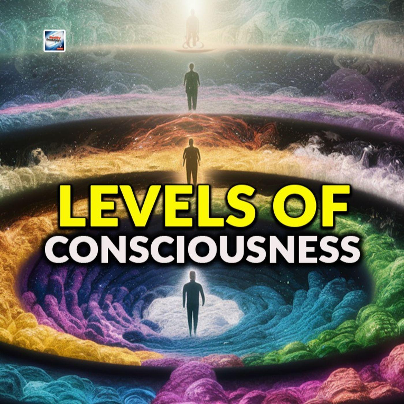 Levels Of Consciousness - The Reality Revolution Podcast | Listen Notes