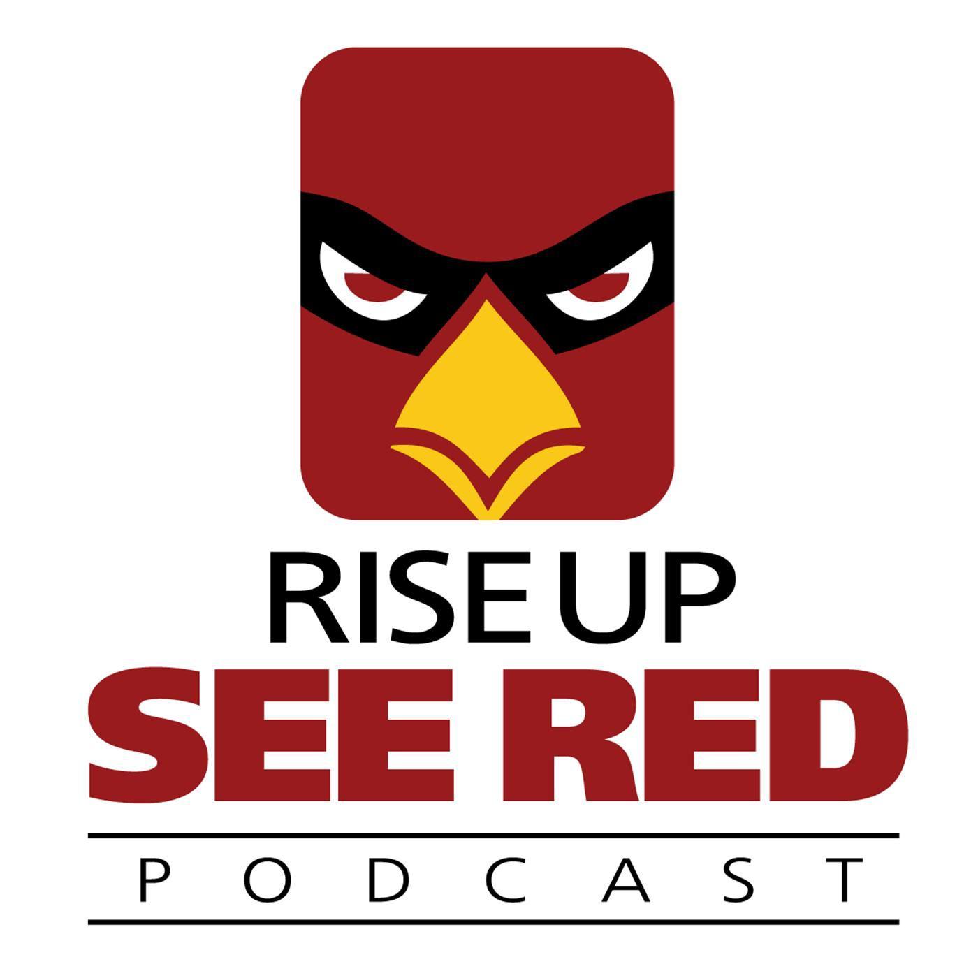 Cardinals-Panthers Week 2 opponent preview with Jared Feinberg | Listen ...