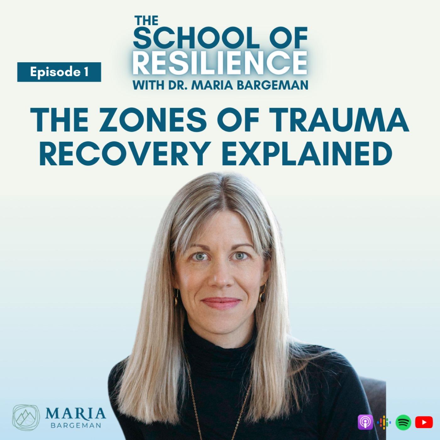 The Zones of Trauma Recovery Explained - The School of Resilience ...