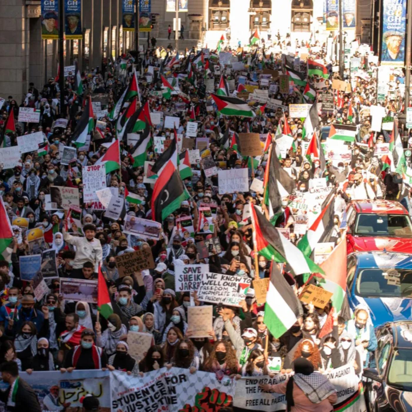 Why pro Hamas? - The Settlement Project (podcast) | Listen Notes