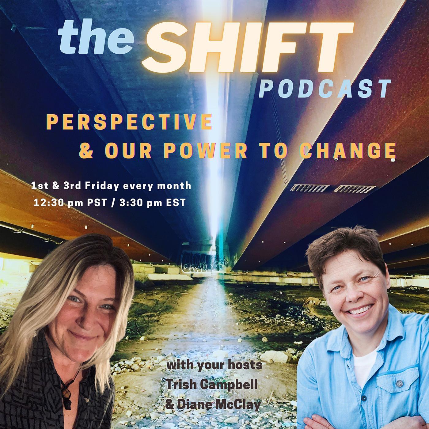 the SHIFT Podcast with Trish Campbell & Diane McClay: Perspective & Our ...