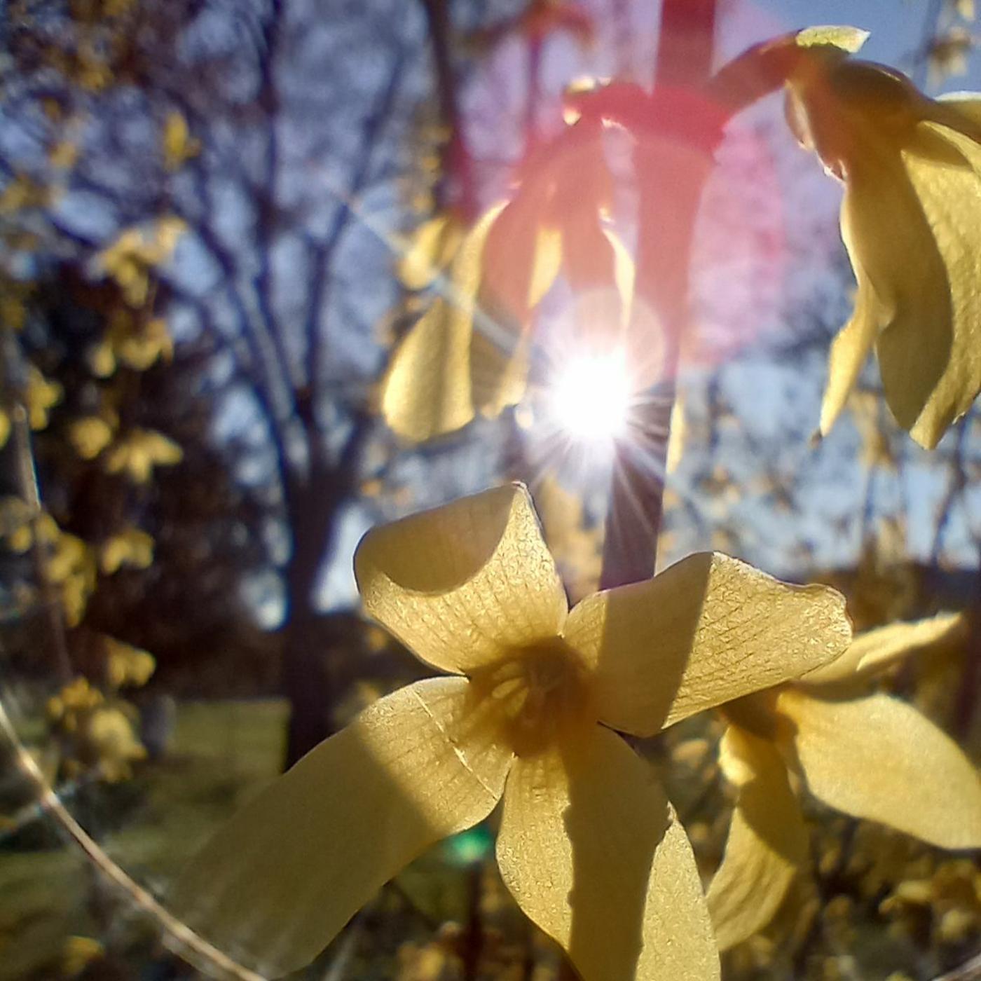 The US Navy Band - The Signalman Show, S2 E125 - The Signalman (pódcast ...