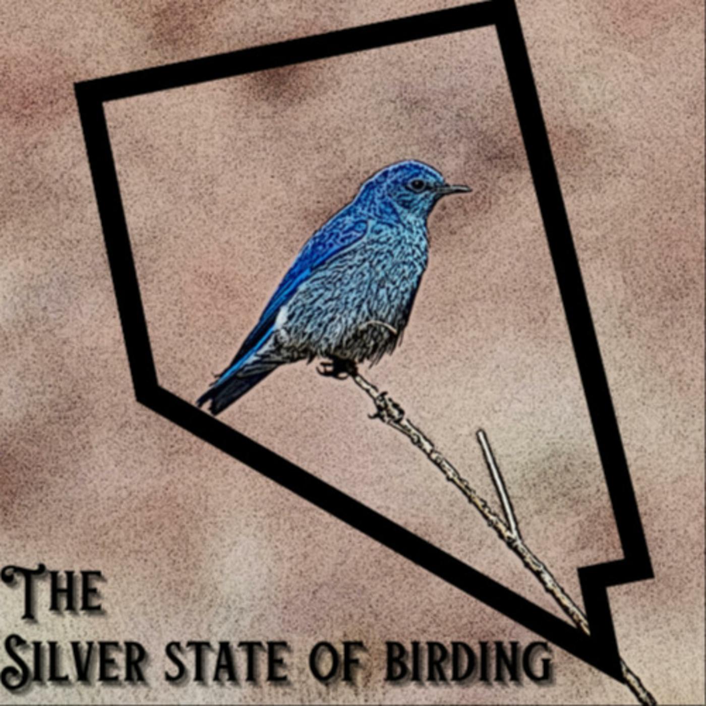 The Silver State of Birding (podcast) - Ned Bohman | Listen Notes