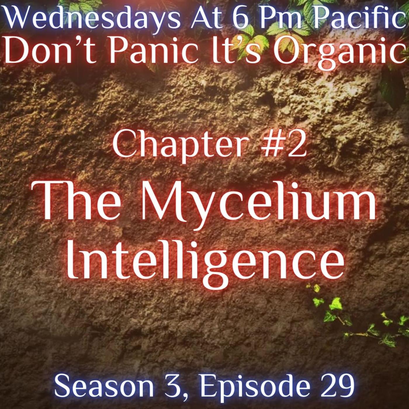 The Soil Matters Joshua Sundberg @communityrootsaz - The Soil Matters ...