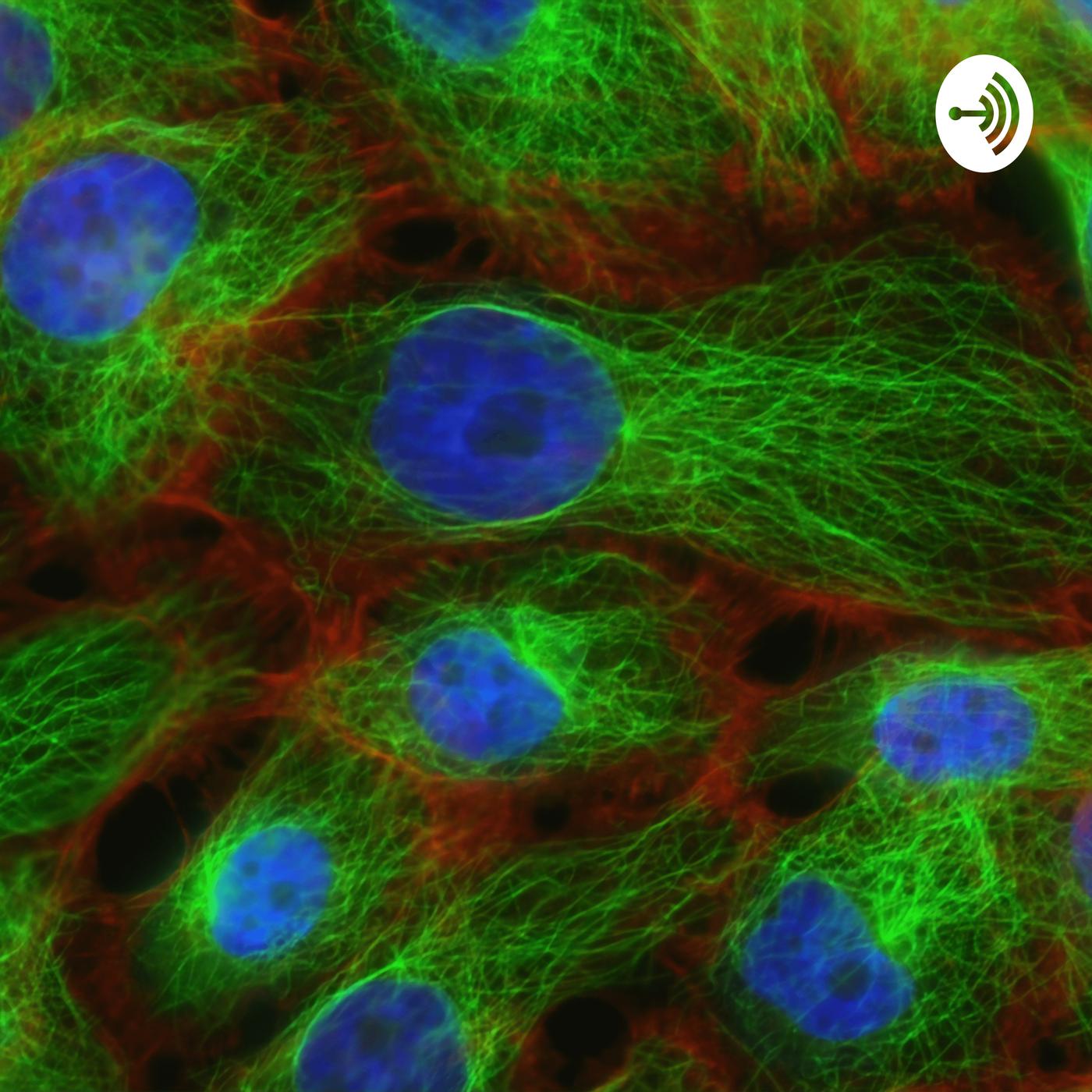 The Structure And Structure Of Cell Organelles - The Structure And ...