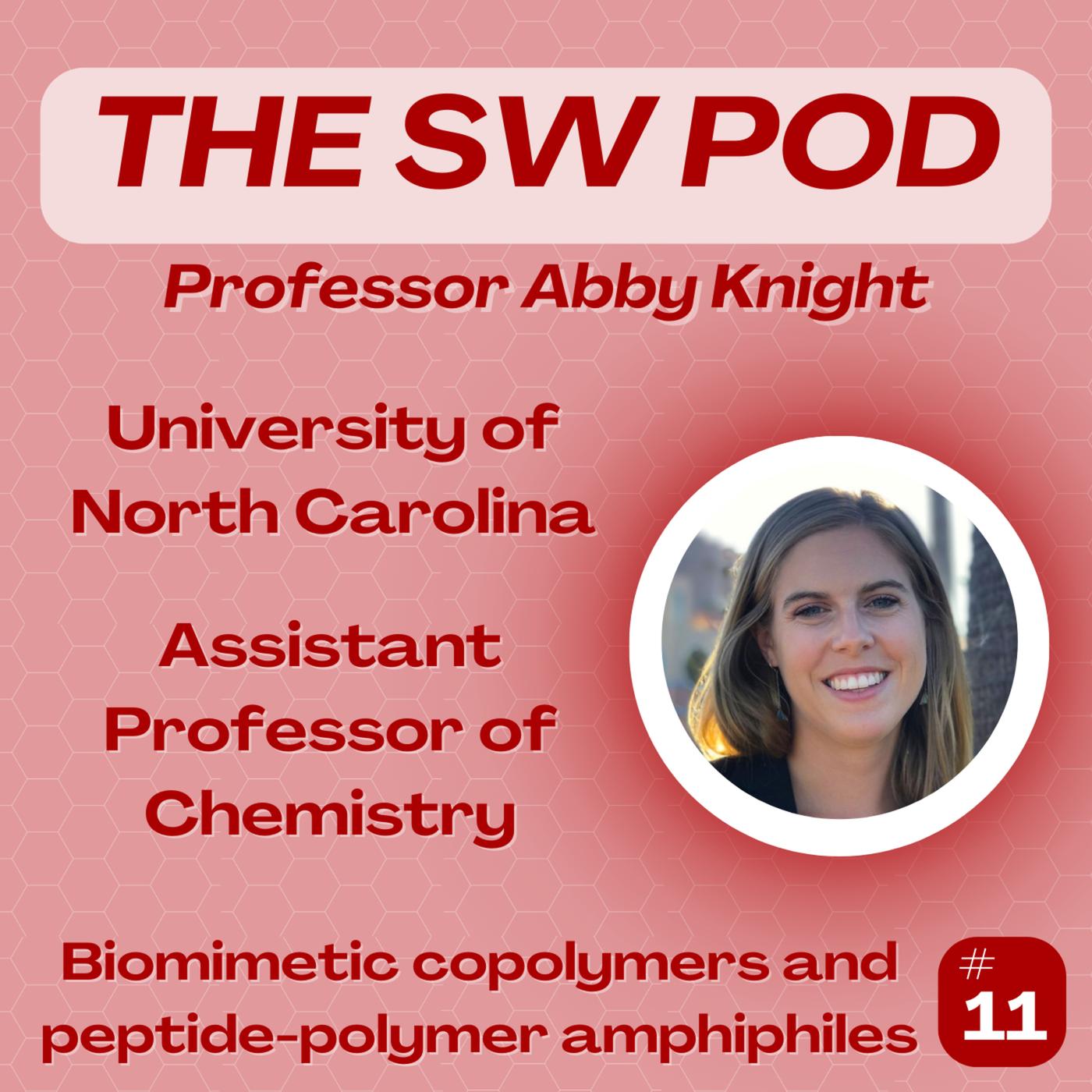 Episode 53: Professor Thomas Teets - The SW Pod (podcast) | Listen Notes