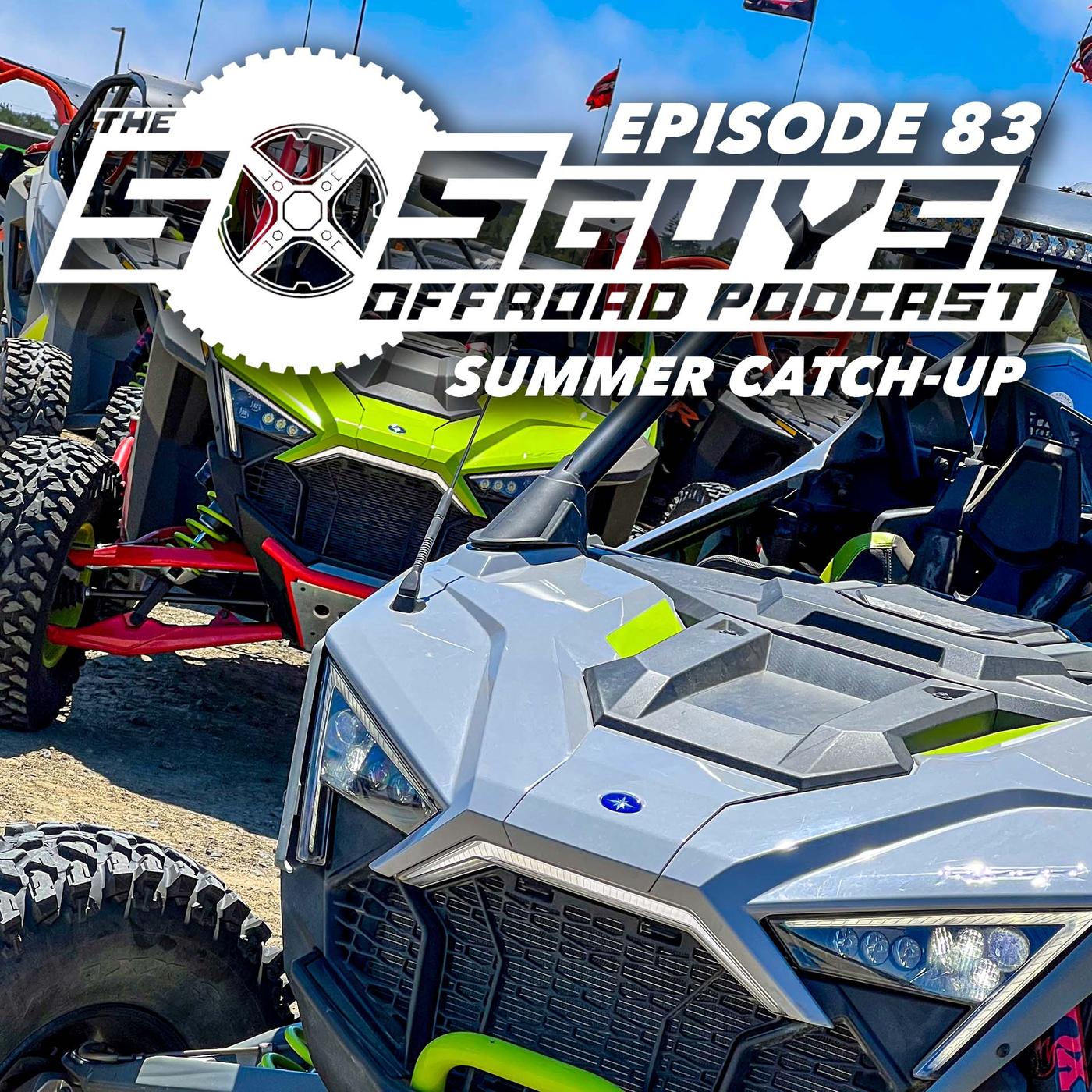 Episode 36: Get to Know Lynn Hodges of Sector Seven | Listen Notes