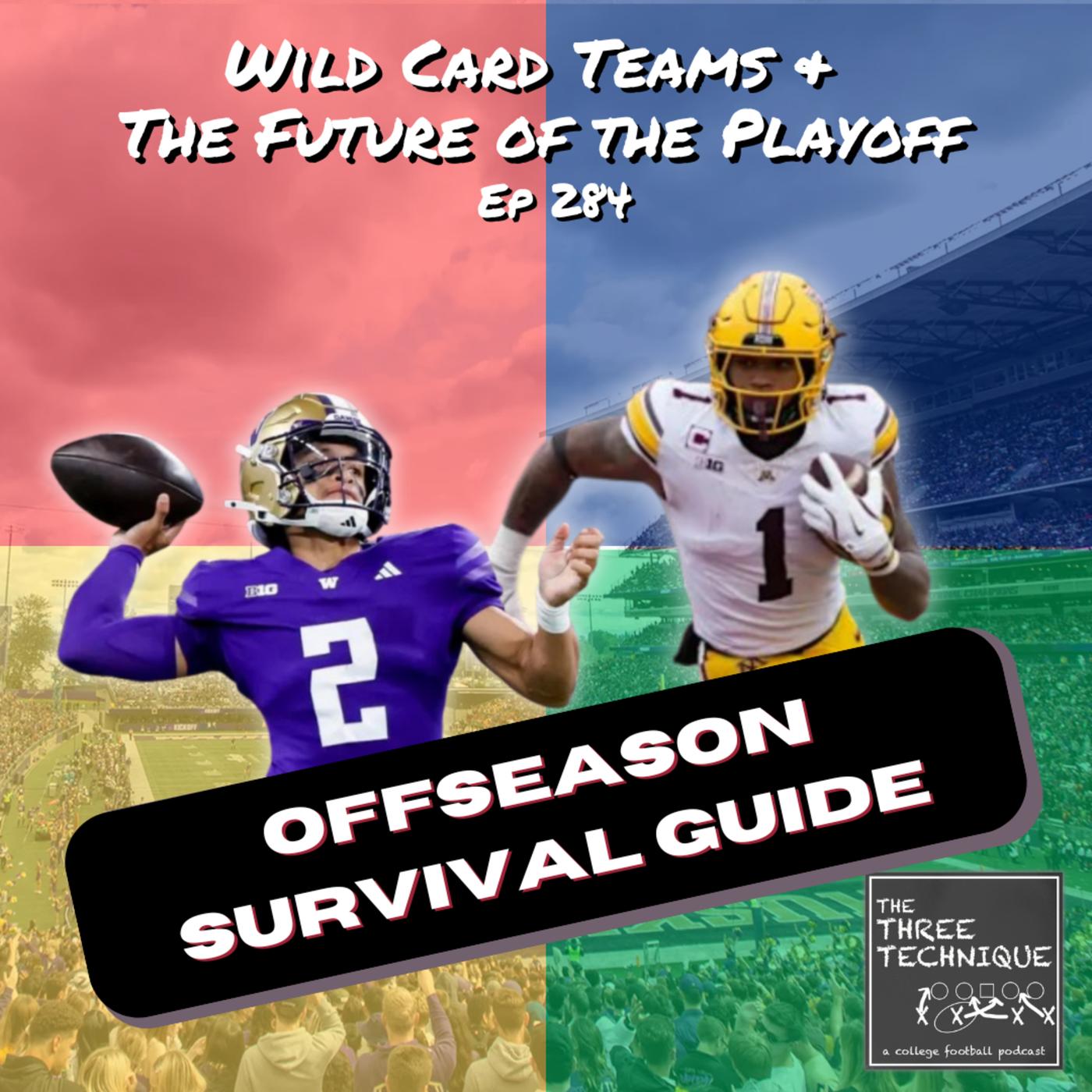 WILD CARD Teams for 2025 + Updates on the New College Football Playoff ...