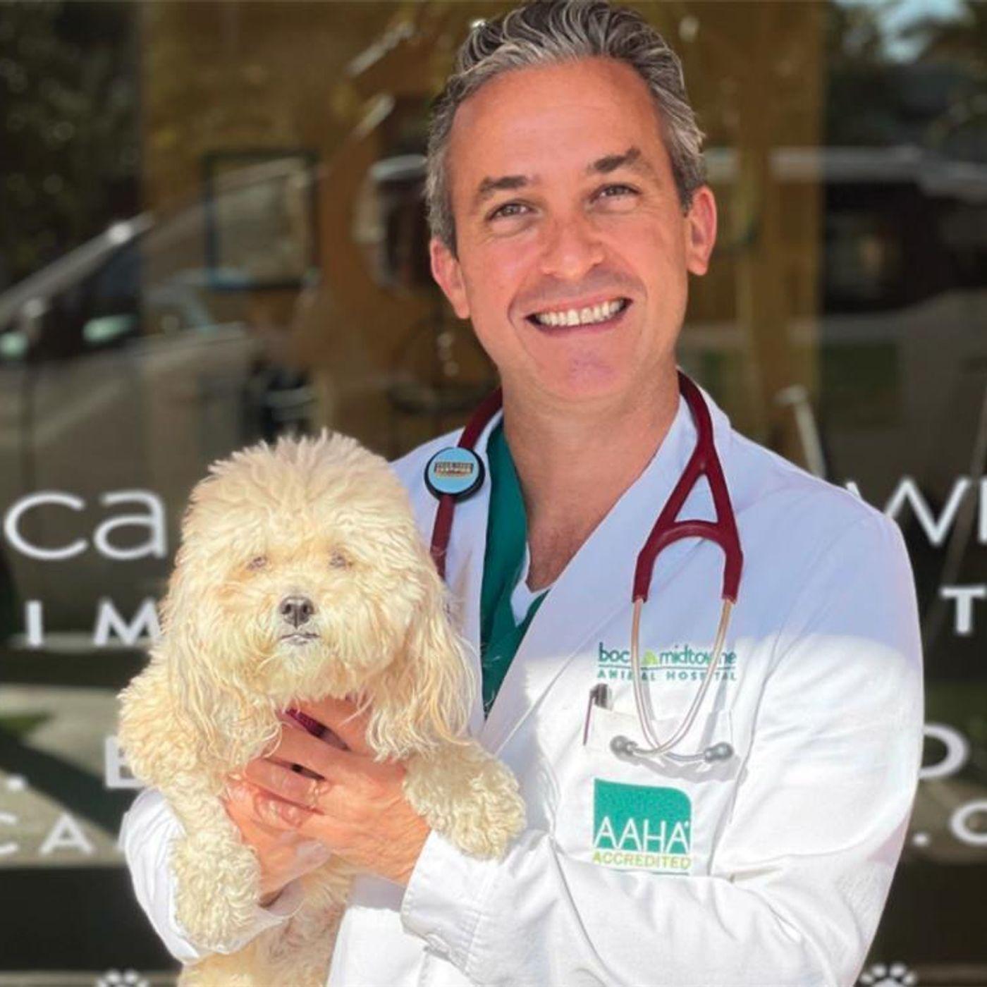 287: BOAS with Dr Boaz Man - The Vet Blast Podcast presented by dvm360 ...