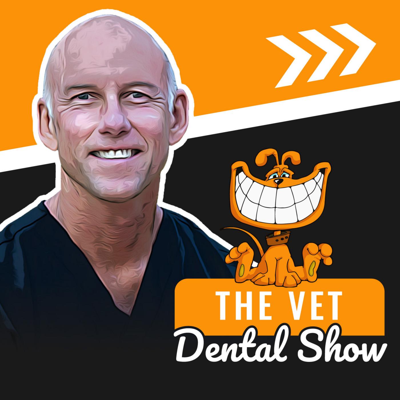 Ep 2- Veterinary Client Education and 80:20 Rule - The Vet Dental Show ...