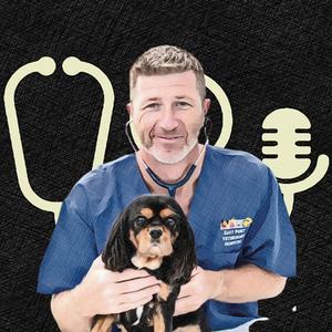 #110: Practice Good Medicine - The Rest Will Take Care Of Itself. With ...