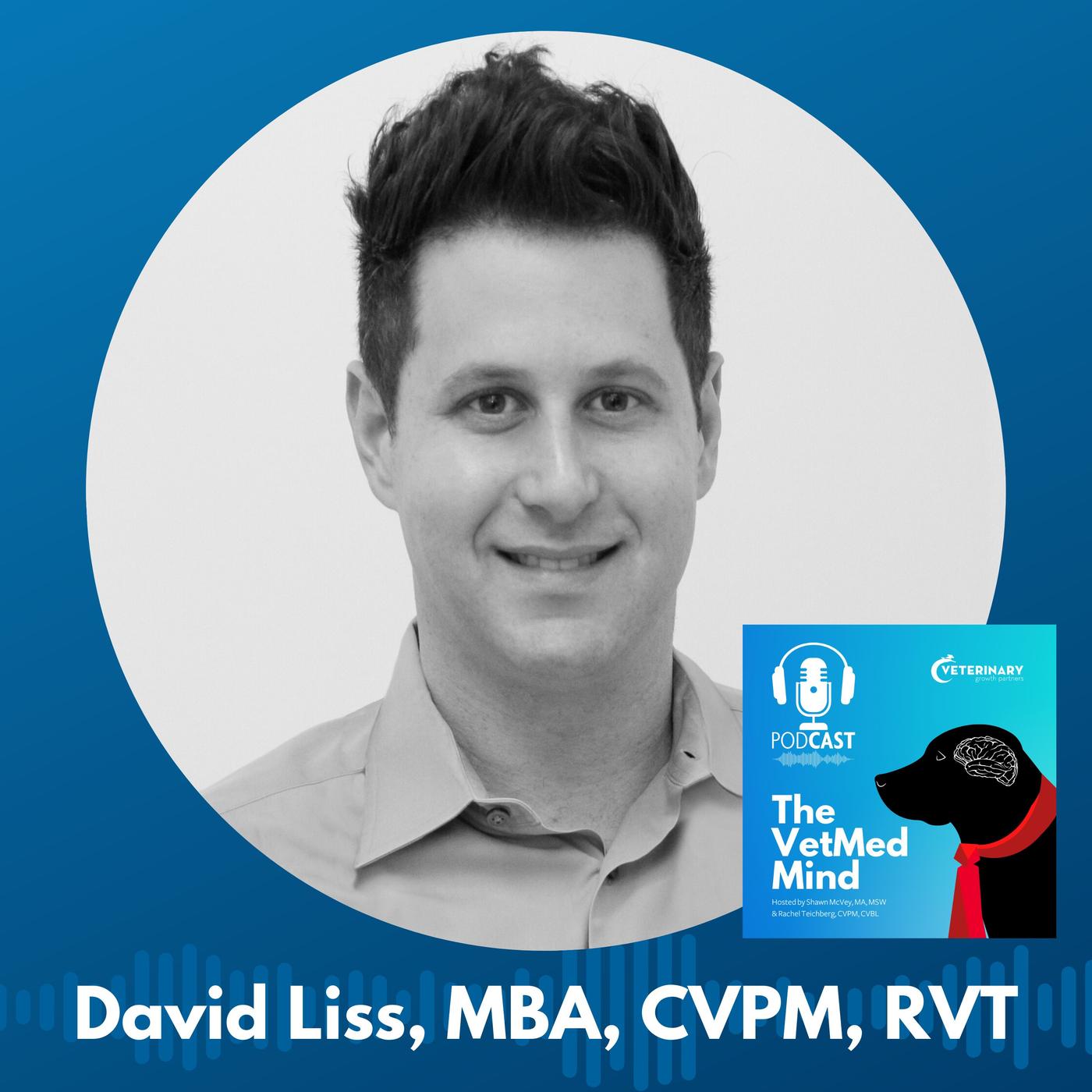 Success Stories & Lessons Learned: David Liss, MBA, CVPM, RVT | Listen ...