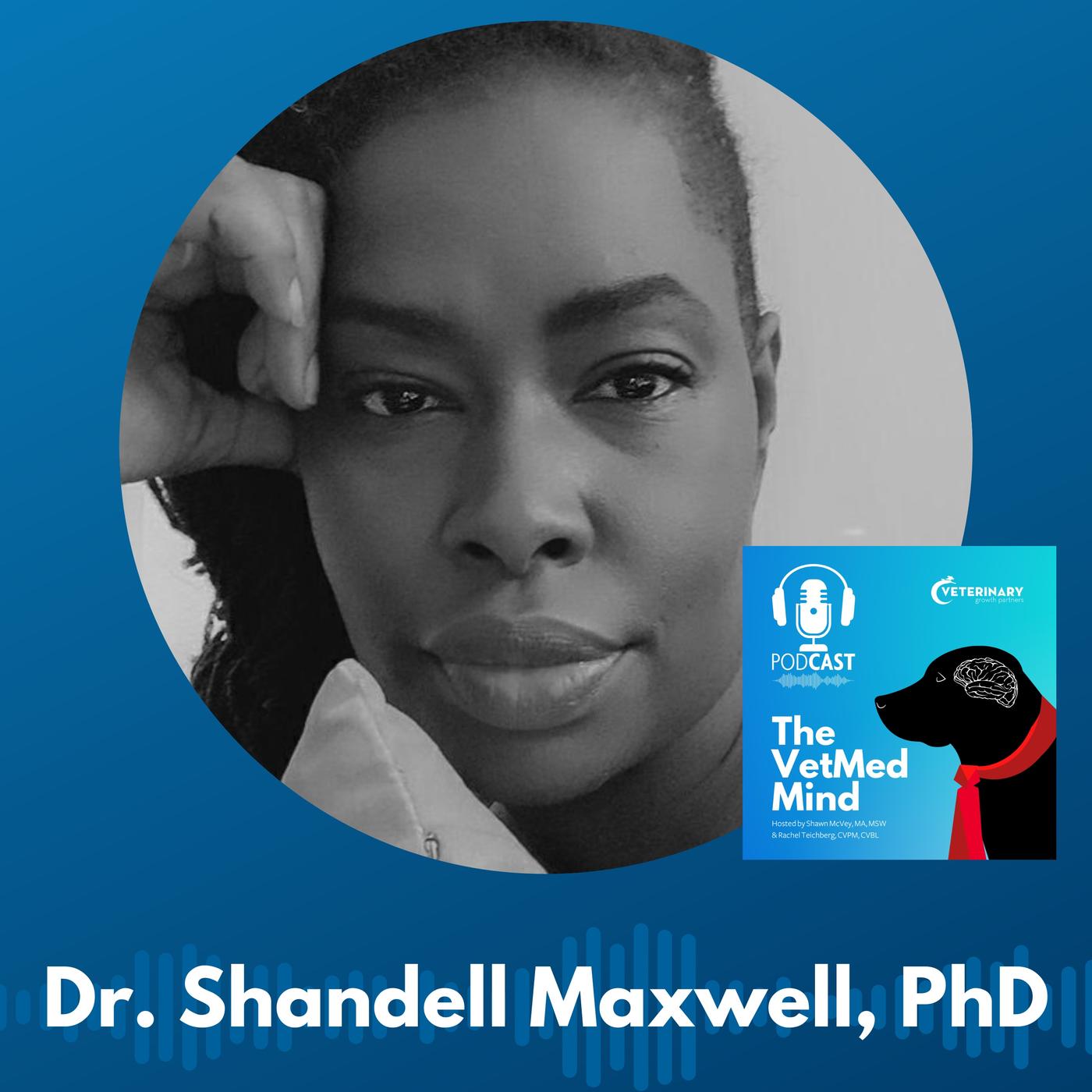 Success Stories & Lessons Learned: David Liss, MBA, CVPM, RVT | Listen ...