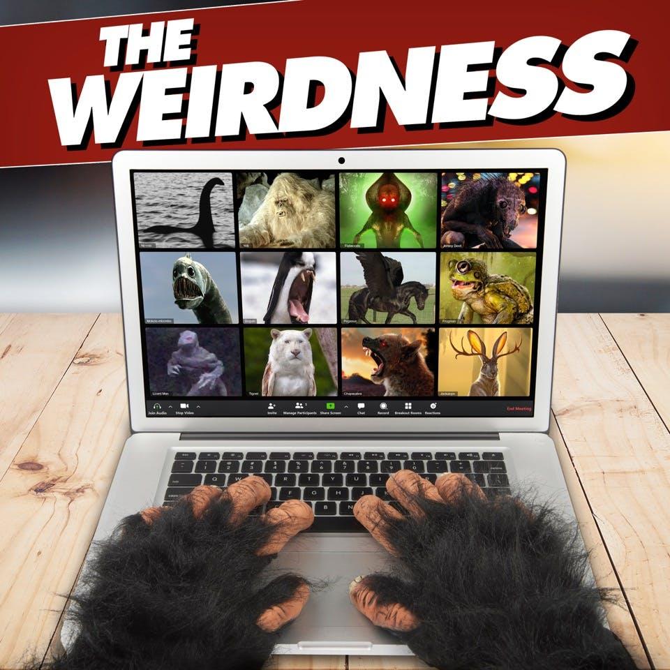 The Weirdness Podcast Gzm Shows Listen Notes