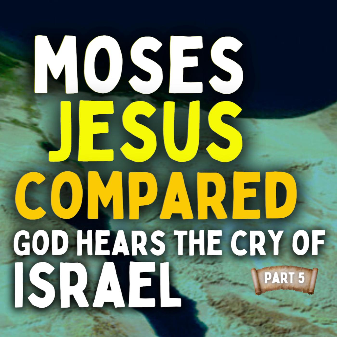 Moses Wise 2024: Tu Moses Lehrveranstaltungen – Braun Papenburg