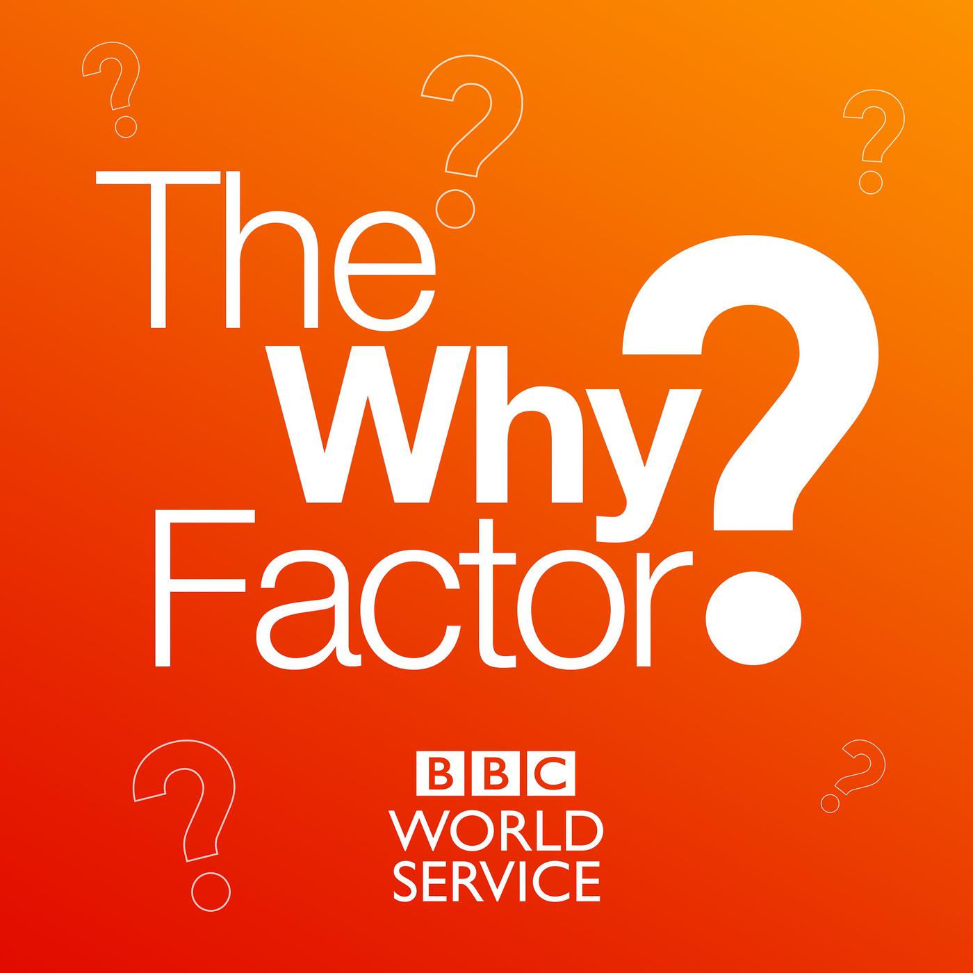 The Why Factor (podcast) - BBC World Service | Listen Notes