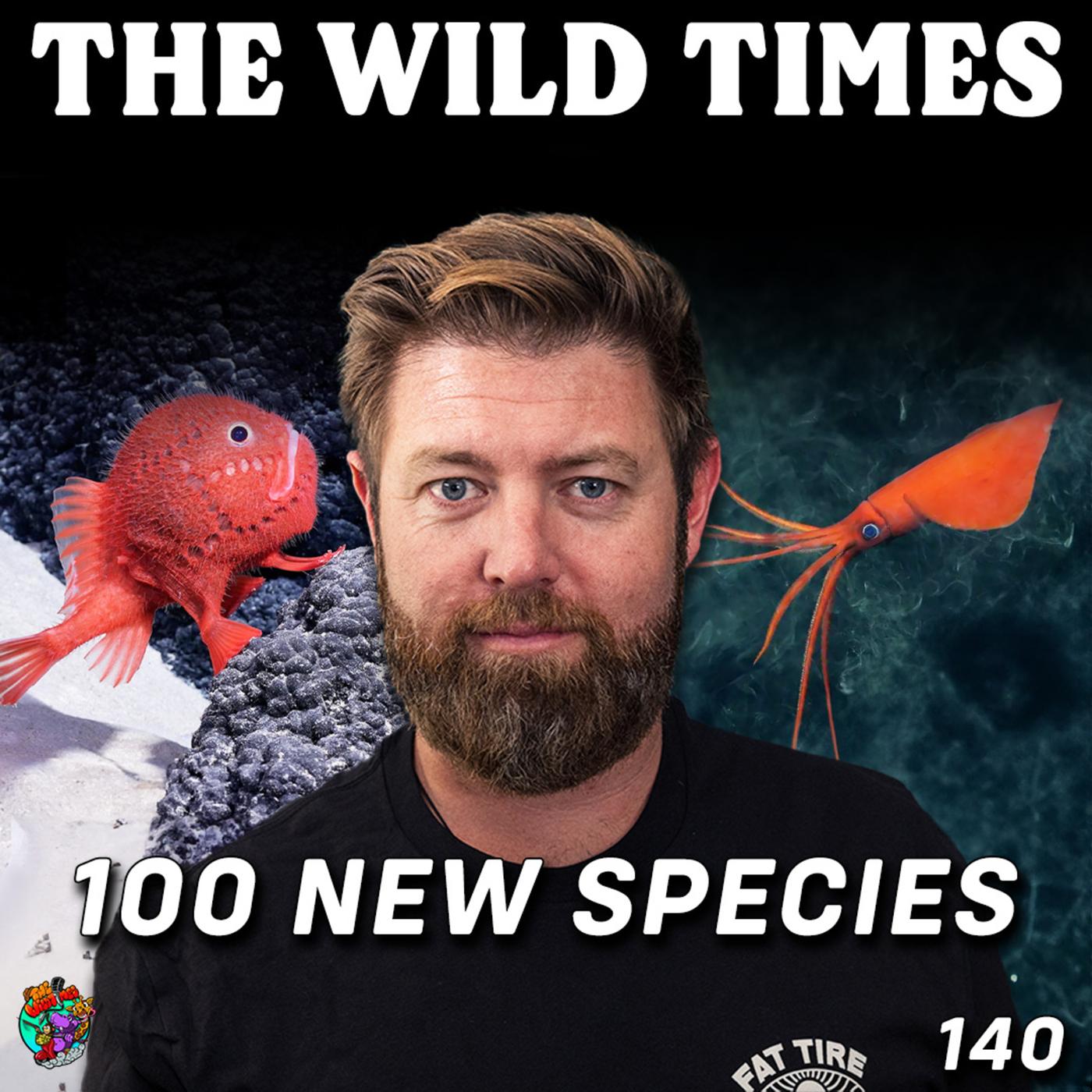 Top 10 Most Shark Infested Beaches - The Wild Times Ep. 150 | Listen Notes