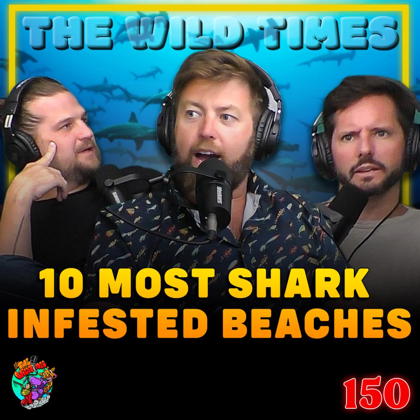 Top 10 Most Shark Infested Beaches - The Wild Times Ep. 150 | Listen Notes