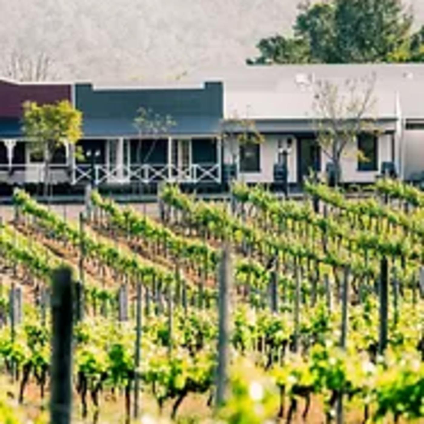 Drew Mackie - Dusty Hill Wines (South Burnett, QLD) | Listen Notes