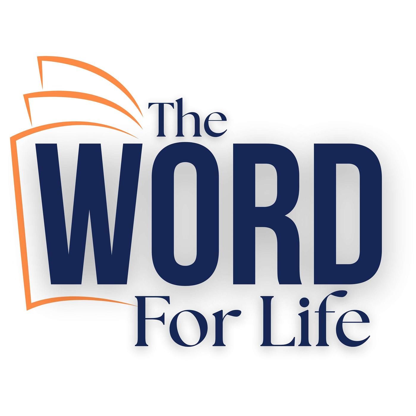 The Interrupted Sermon - Mark 2:1-12 - Part 3 - The Word for Life ...