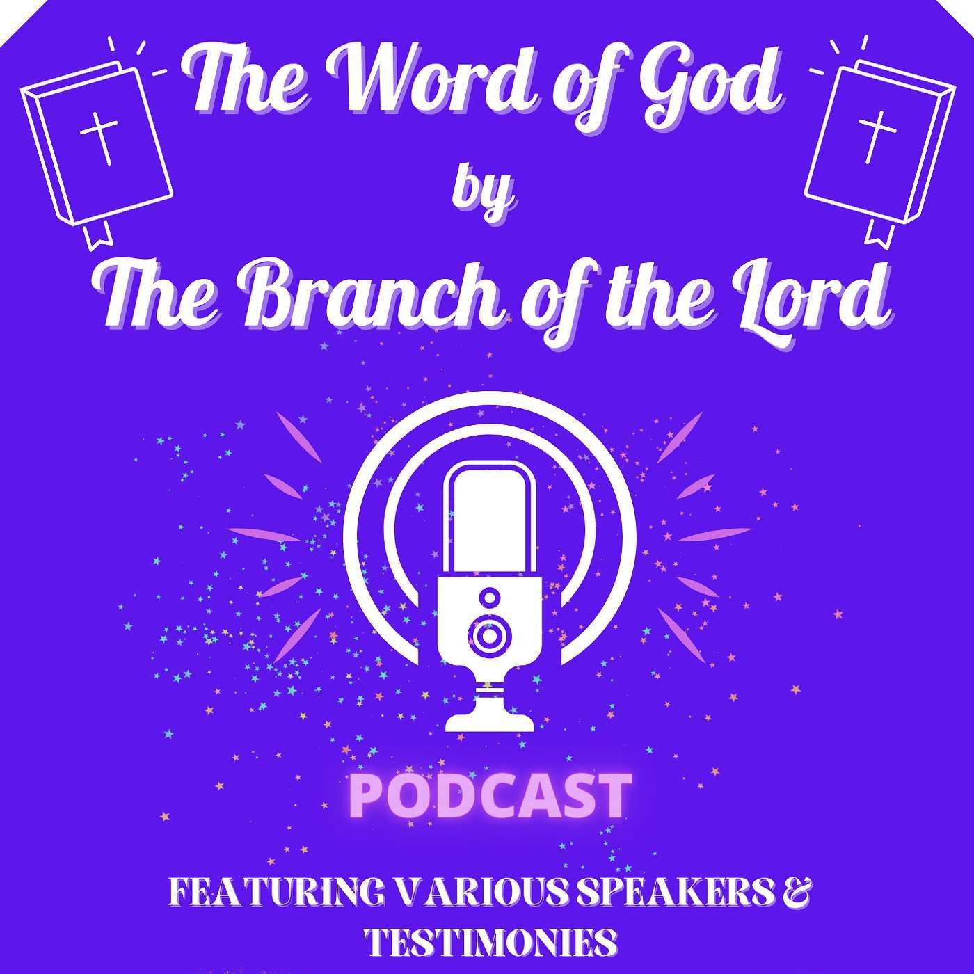 THE GENEAOLOGY OF OUR FATHER ABRAHAM: REVISITED - The Word of God by ...